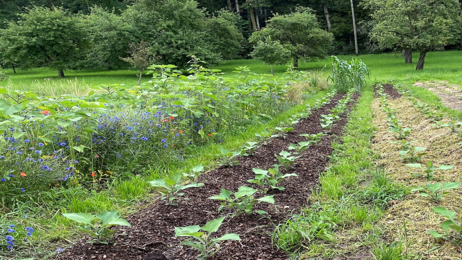 Die Landwirtschaft neu denken › Kleinbauern.ch